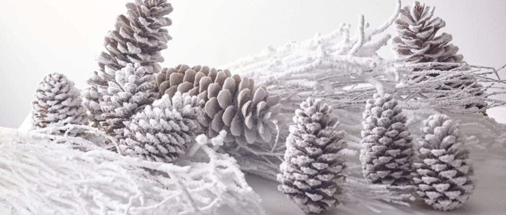 Alles Puur - Eerlijke Pure & Duurzame Verzorgingsproducten